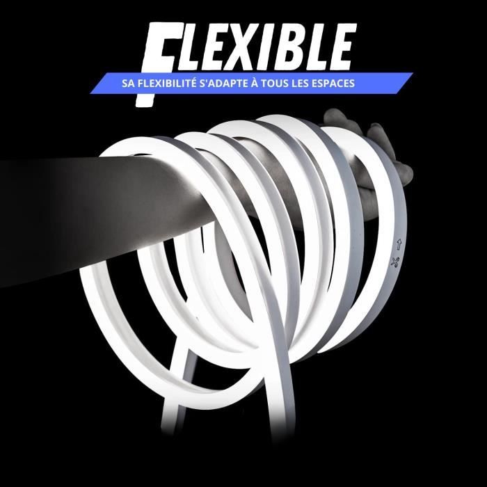 Ridgetube Kit Ruban Led Néon 10 Mètres Blanc Froid 220V Bandeau ...