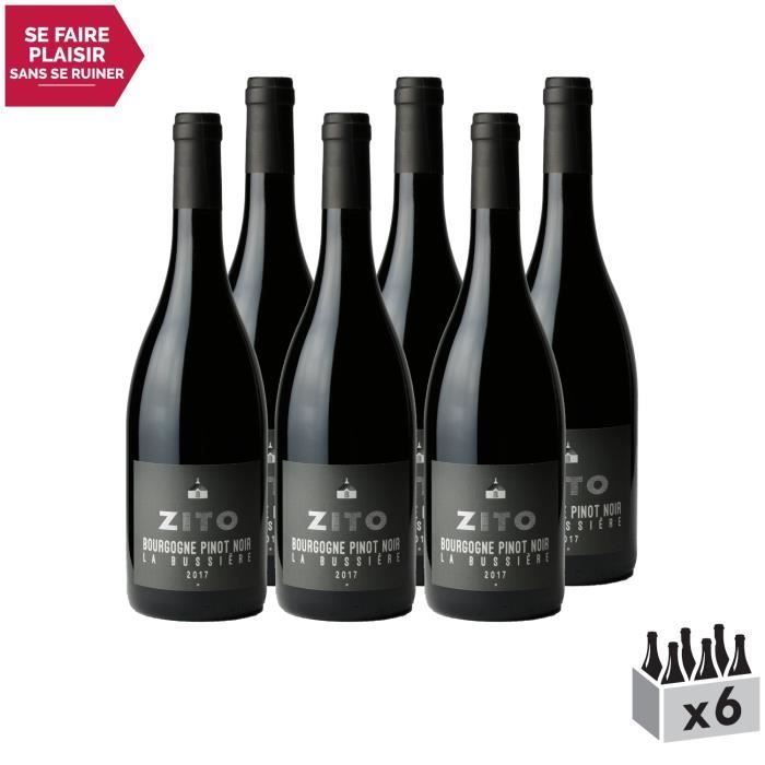 Bourgogne Pinot Noir La Bussière Rouge 2017 - Bernard Zito - Vin AOC ...