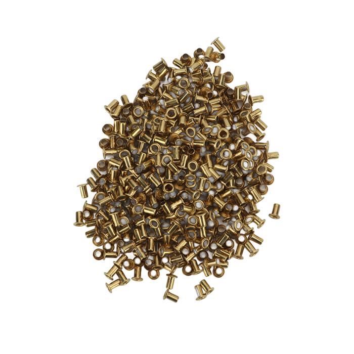 Fafeicy Rivets pour vêtements 500 pièces Rivets creux 65 Surfaces de ...