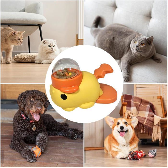 Distributeur De Friandises pour Chien Jouet - Jouet Distributeur de ...