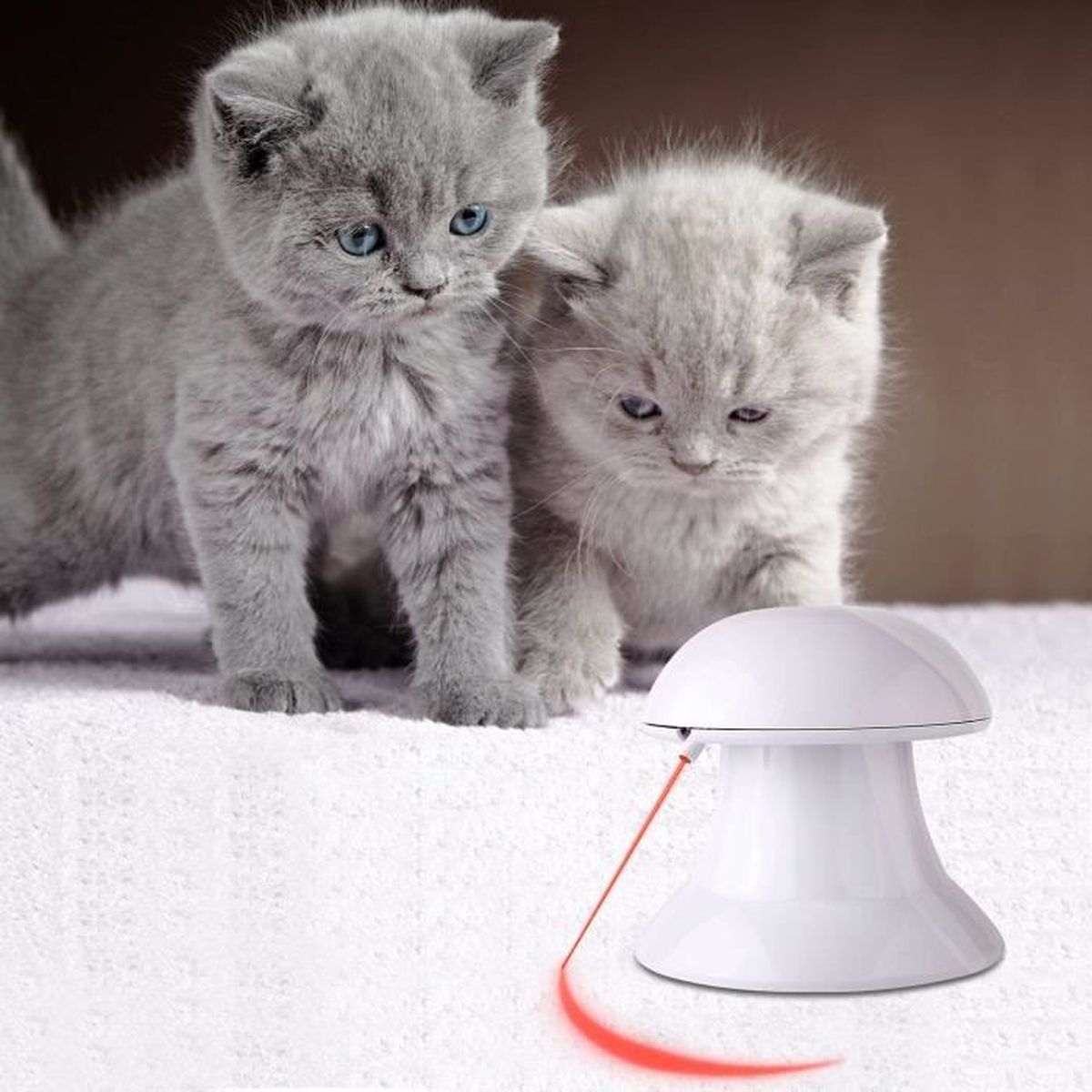 Jouet Chat Interactif Electronique Automatique Lumière Jeu d'exercice ...