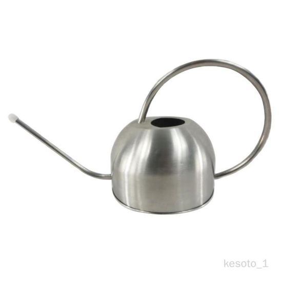 Arrosoir Bonsai Arrosoir Style Moderne Brossé 1.5L - Cdiscount Jardin