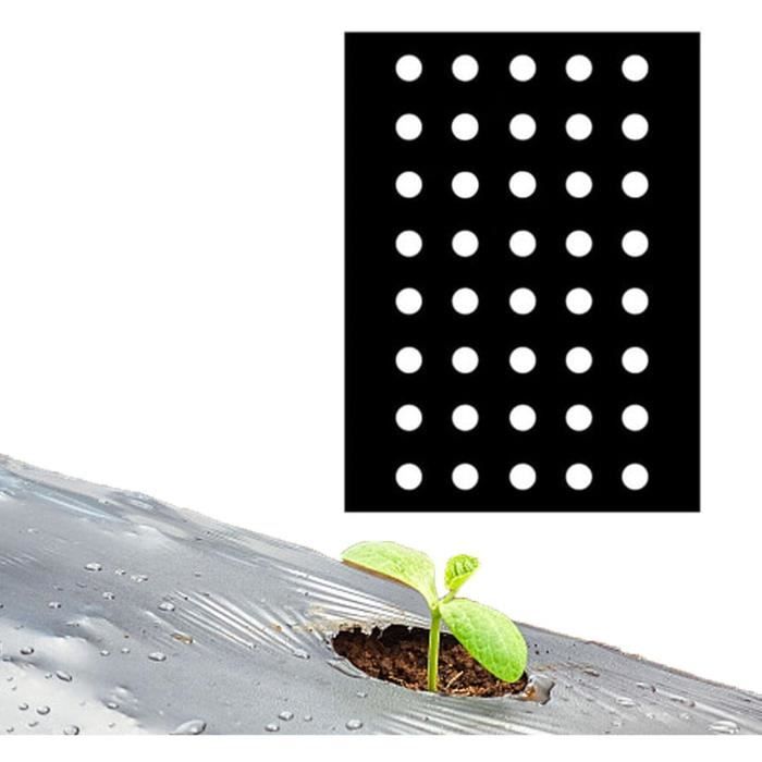 Paillage Lutte Contre Les Mauvaises Herbes Protection Pour Jardin ...