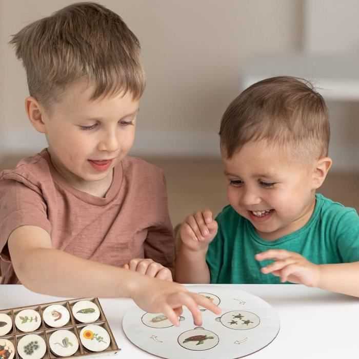 Bébé Montessori Cycle De Vie Plateau, Life Cycle Tray Puzzle En Bois ...