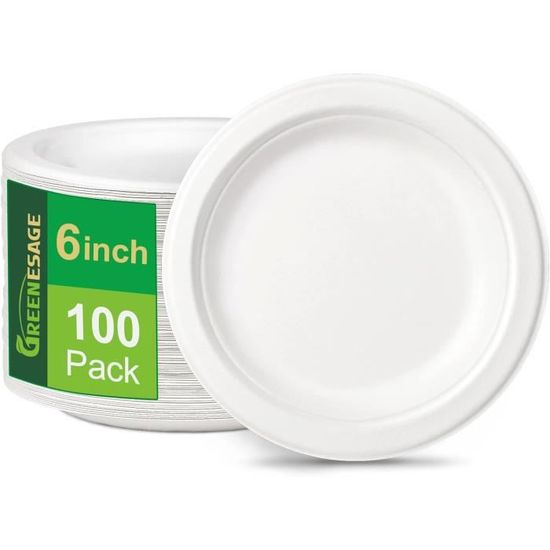 Lot De 100 Assiettes Jetables