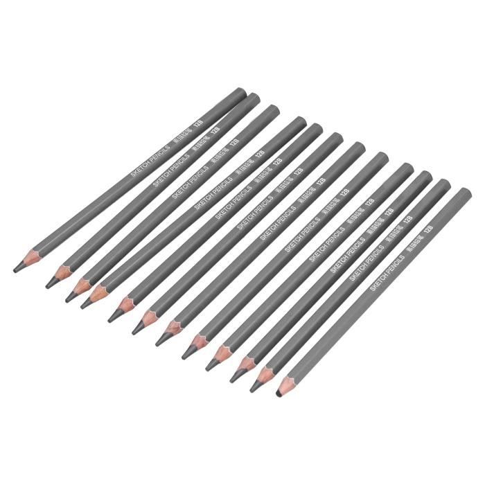 Crayon À Dessin Crayons De Dessin Professionnels Pratiques, 24 Pièces, Ensemble De Crayons De ...