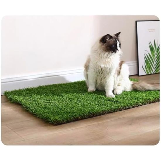 Gazon Artificiel Pour Chien - Tapis D'Entraînement Pour Chien - Tapis De Football - Tapis De Sol ...