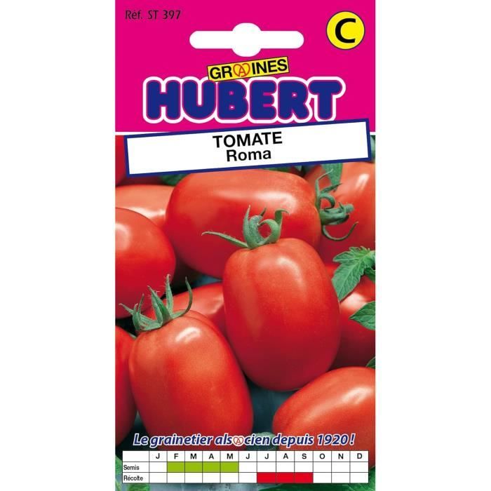 Graines de Tomate Roma - 0,5 grammes.[D616] - Cdiscount Jardin