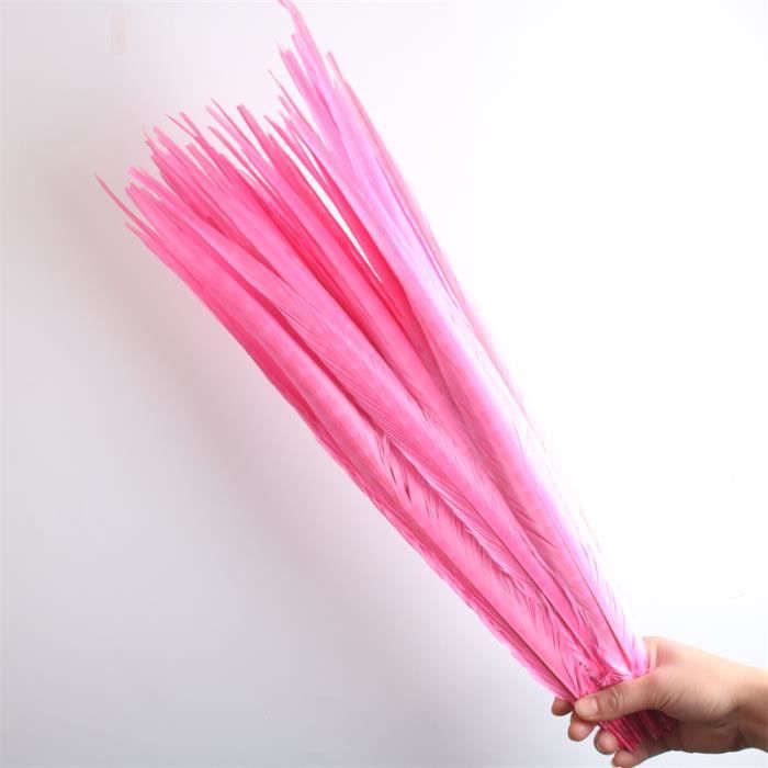 Plume de déco - Artisanat - Plumes de queue de faisan - Rose - 30 ...