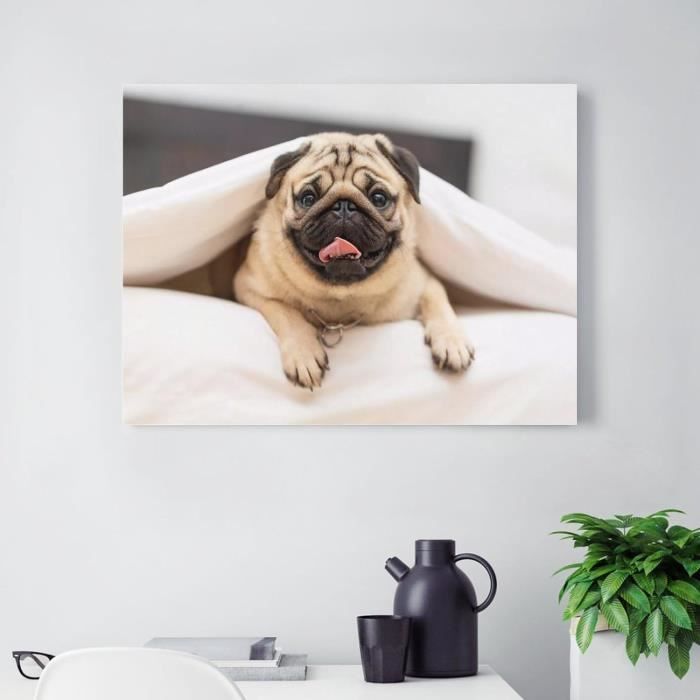 Diy 5D Diamond Painting Kit Forage Complet Chien Carlin Diamant ...