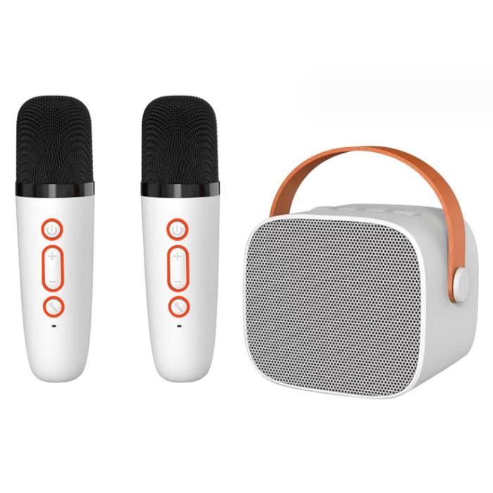 Machine à karaoké, machine à karaoké avec 2 microphones sans fil,Bluetooth,machine de karaoké ...