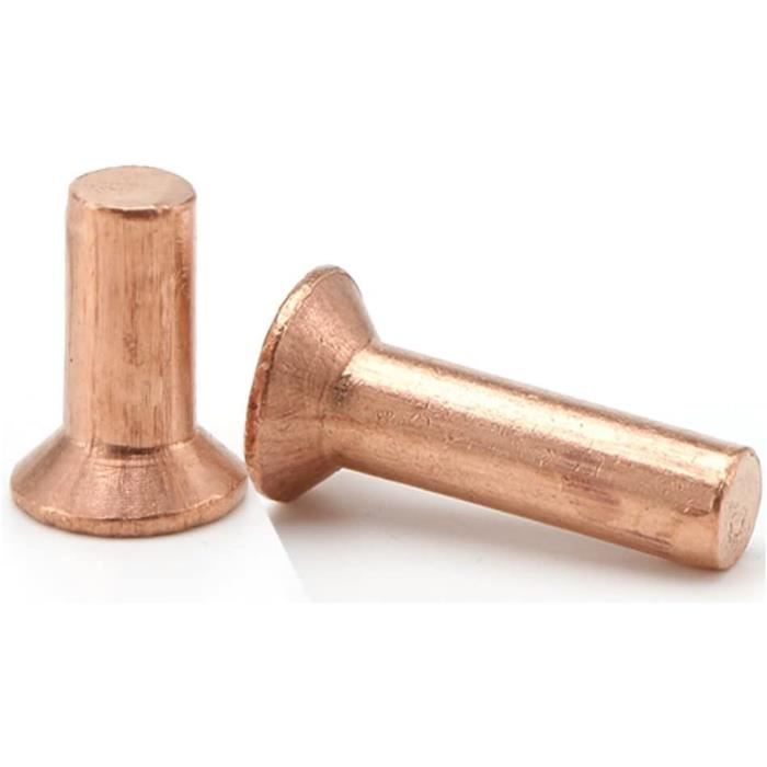 Lot De 40 Rivets Solides En Cuivre Violet À Tête Fraisée M4 X 20 Mm ...