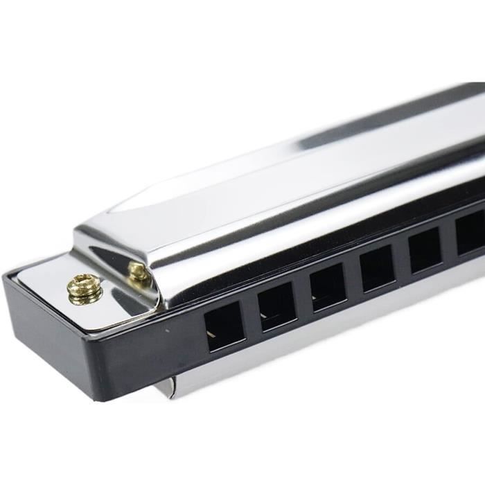 Mini harmonica pour enfants ou débutants - Orgue de bouche Blues (clé ...