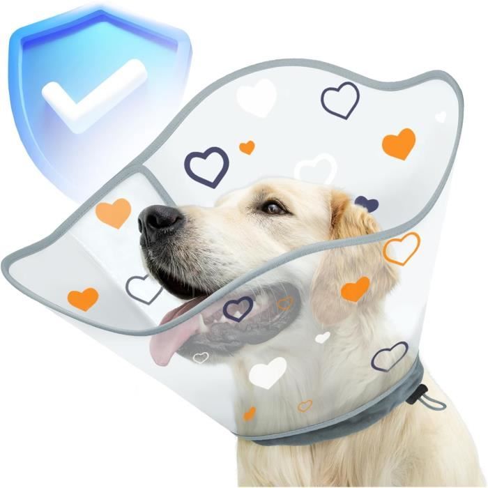 Collerette Pour Chien Après La Chirurgie - Protection Contre Les Fuites ...