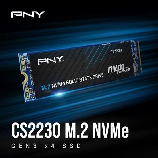 PNY CS2230 500GB SSD Interne M.2 NVMe Gen3, jusqu'à 3300MB/s ...