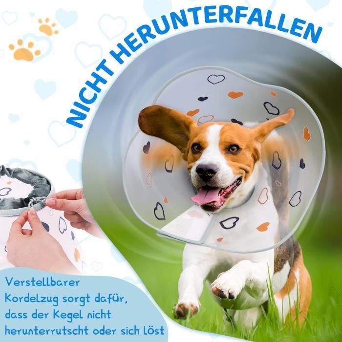 Collerette Pour Chien Après La Chirurgie - Protection Contre Les Fuites ...