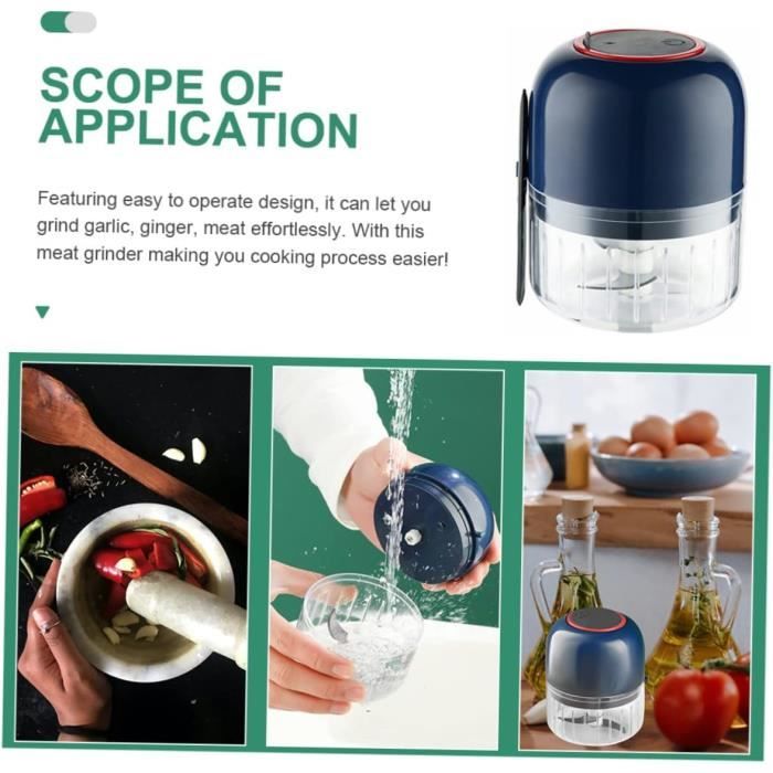 Pilon À Ail Électrique Gingembre Mini-Mixeur Hachoir À Ail Dés ...