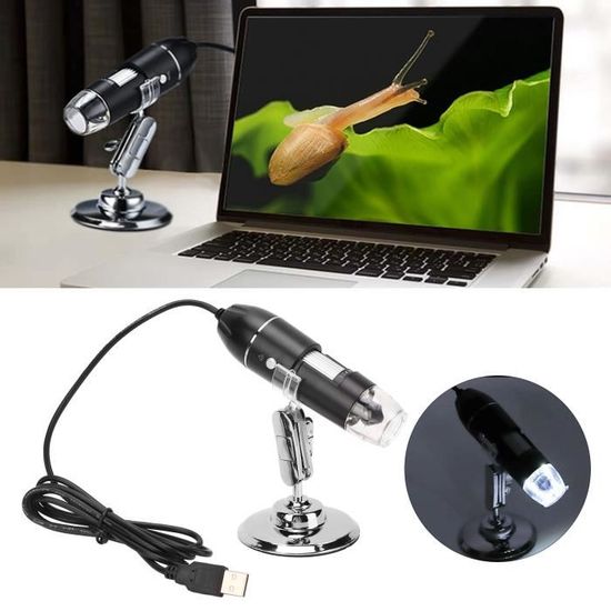 Mini Microscope USB DIOCHE - Portable et rechargeable - Observation ...