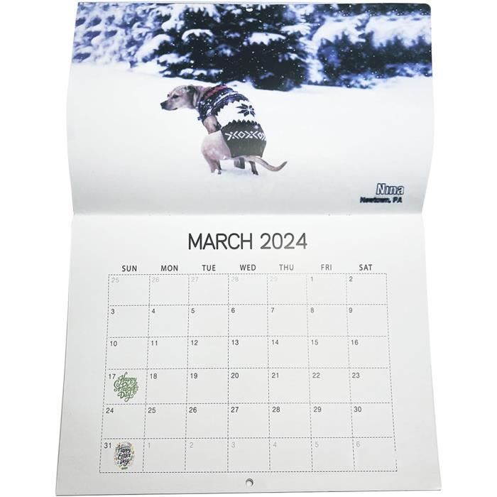 Pooping Dogs Calendrier Mural 2024 Calendrier Mural Mensuel De Merde De ...