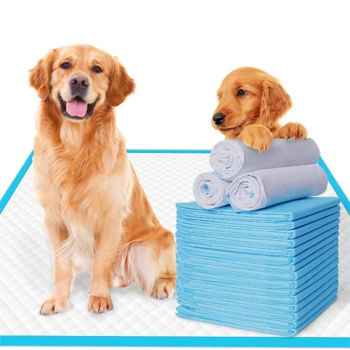 CRAZE Absorbent Pet Diaper Dog Training Pee Pads Disposable Healthy ...
