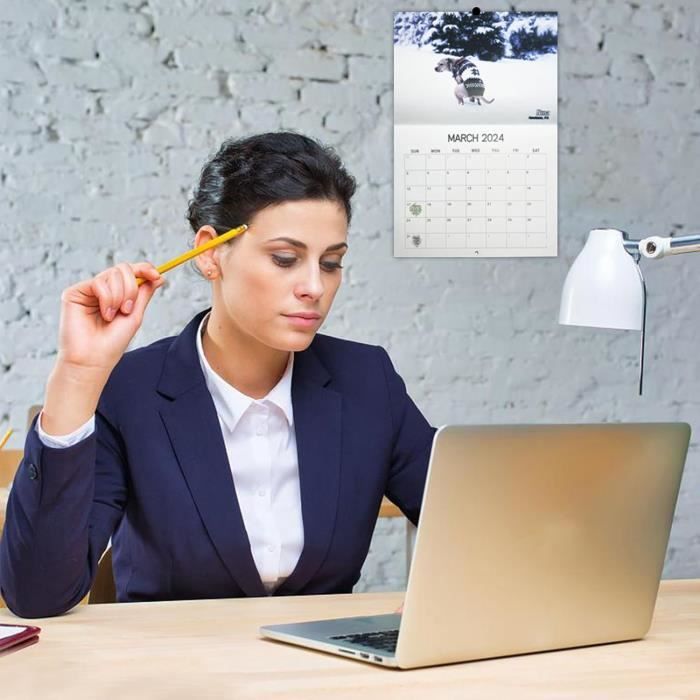 Pooping Dogs Calendrier Mural 2024 Calendrier Mural Mensuel De Merde De ...