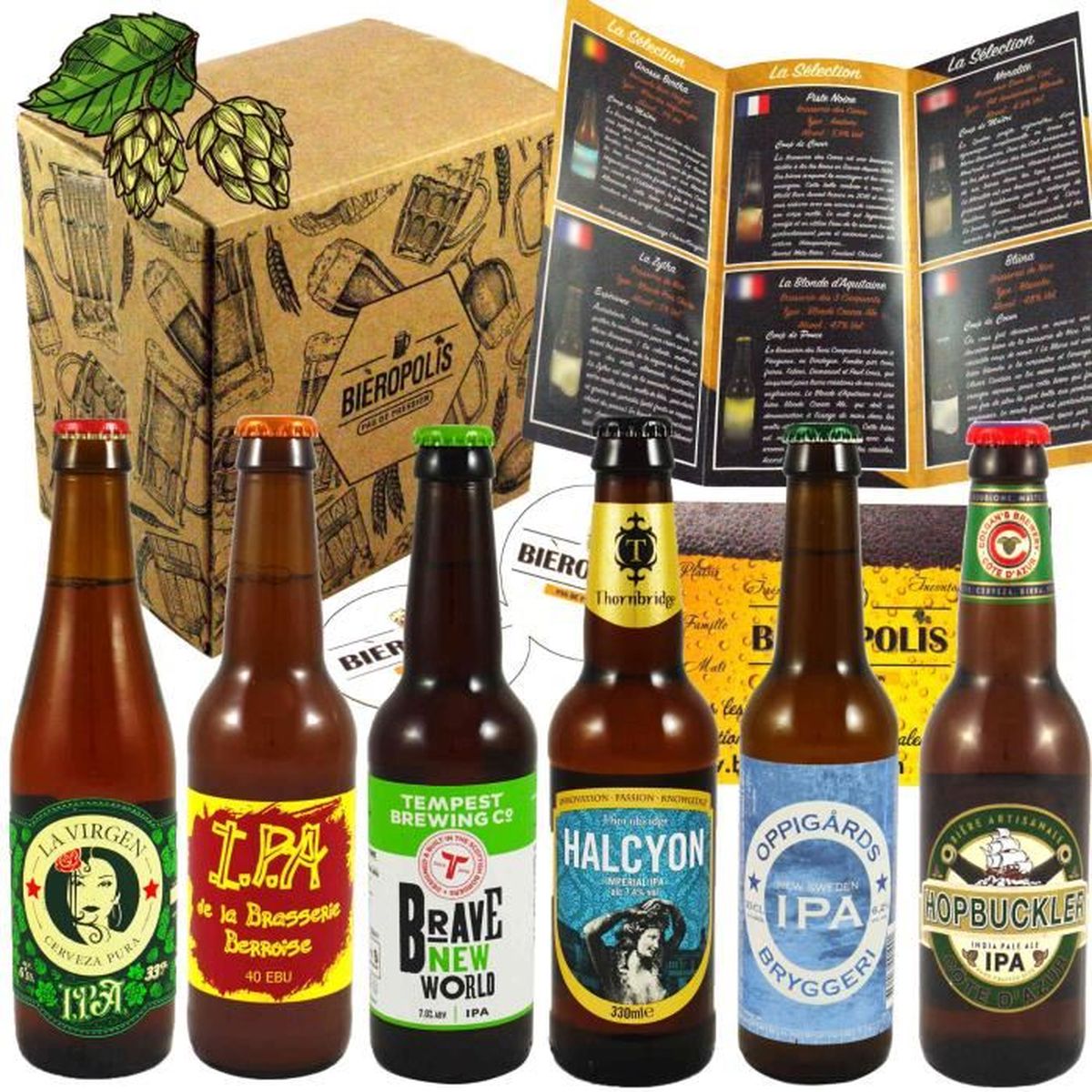 Assortiment Bières Artisanales IPA - Découverte des meilleurs Indian ...