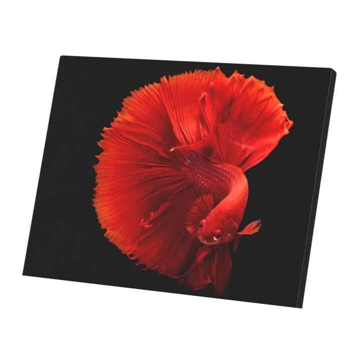 Tableau Décoratif Poisson Combattant Dragon Rouge Vie Sauvage Mer (39 ...