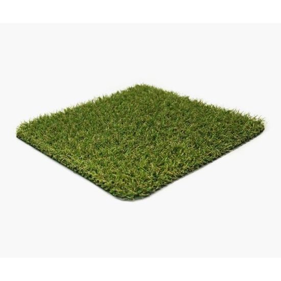 EXELGREEN Gazon synthétique Gilia 20 mm - 1 x 5 m - Cdiscount Jardin