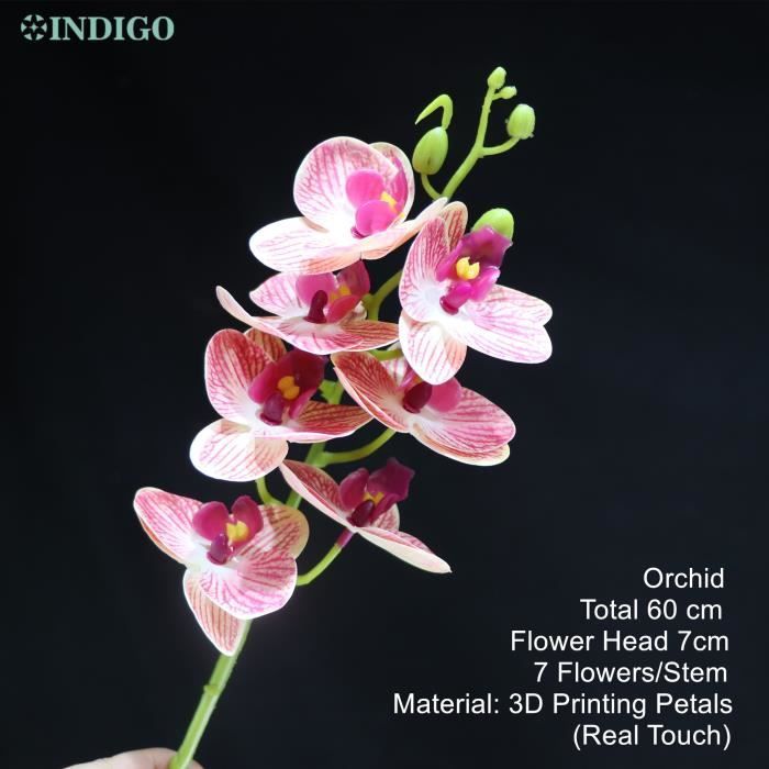 INDIGO- Phalaenopsis papillon blanc orchidée vraie touche artificielle ...