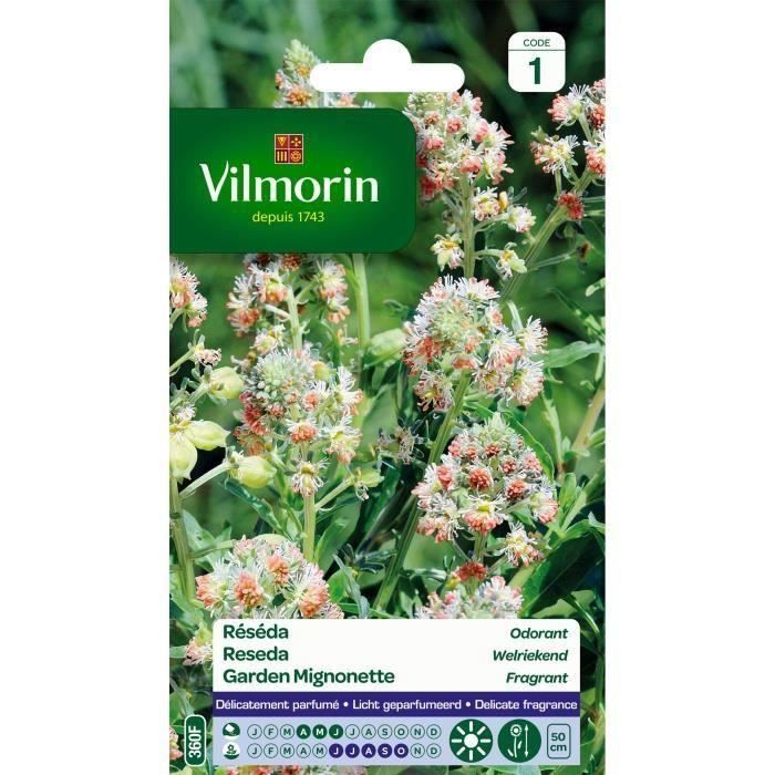 VILMORIN Reseda odorant (Lot de 3) - Cdiscount Jardin