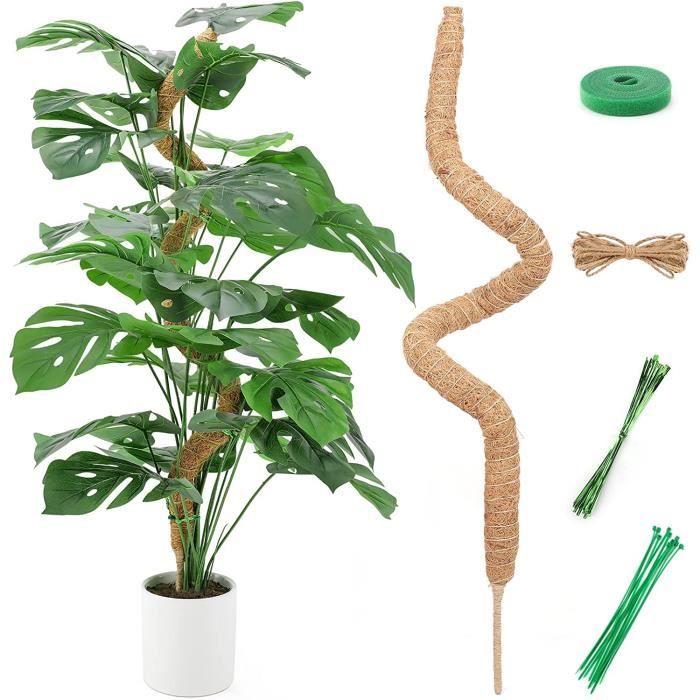 Zerotop Tuteur Plante, Plante Tuteur Coco Support pour Plante Grimpante, 114cm Grimpante Tuteur ...