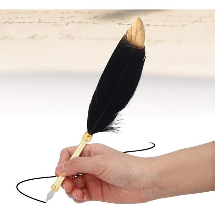 Kit stylo plume style classique rétro 5 x stylo plume boîte cadeau ...