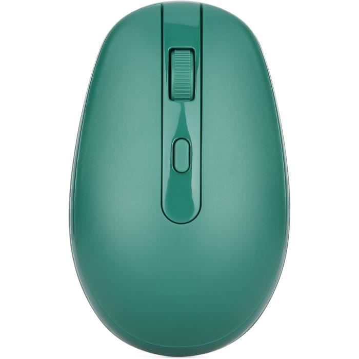 Rii RM700 Souris sans Fil 2.4G avec Recepteur Nano USB, Clic Silencieux ...
