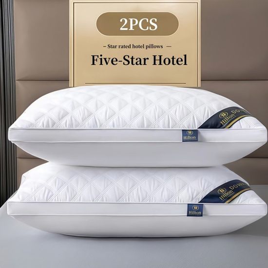 Linge de lit / Oreiller 2 oreillers de luxe pour hôtel 48x74CM Oreiller ...