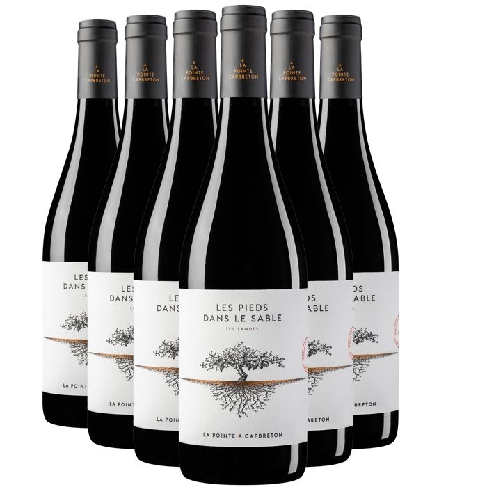 Domaine de la Pointe Landes Les Pieds dans le Sable 2023 - Vin Rouge du ...
