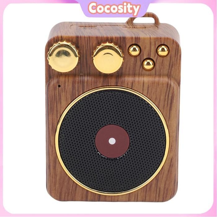 Haut-parleur de Musique Rétro, Haut-parleur Vintage Portable sans Fil ...