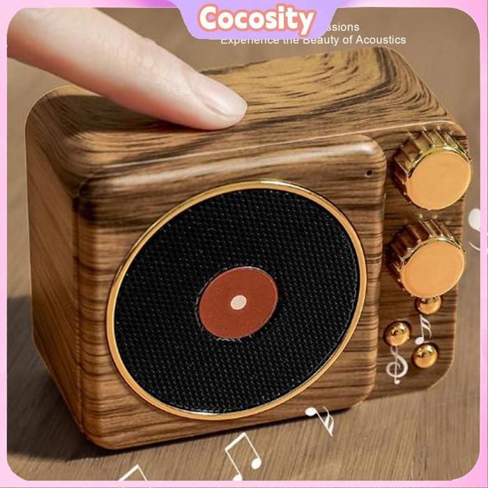 Haut-parleur de Musique Rétro, Haut-parleur Vintage Portable sans Fil ...