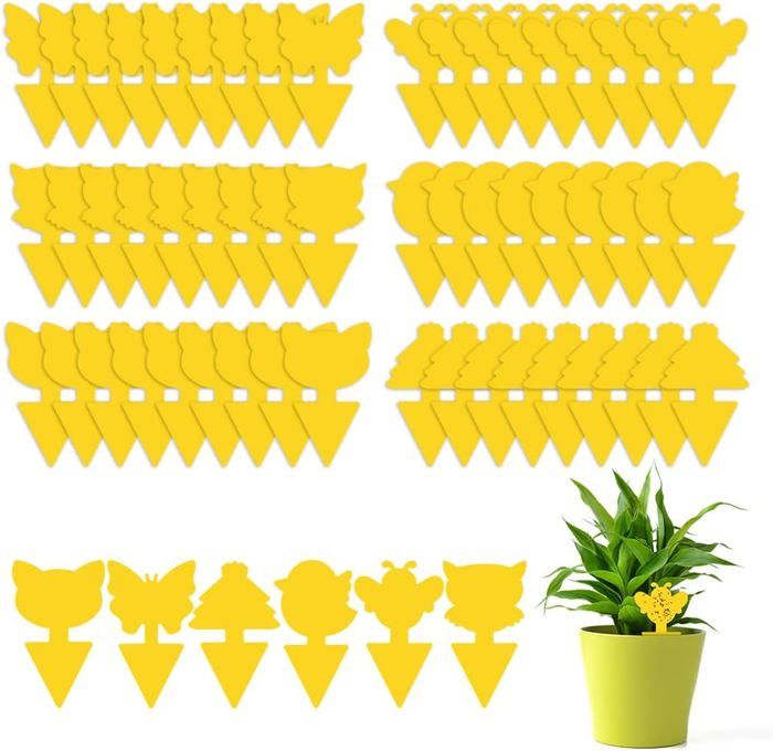 Pièges À Insectes, 60Pc Attrape Moucheron Plantes, Plug-In Pièges À ...