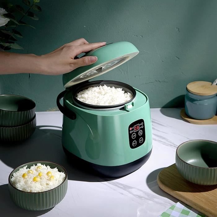 Mini Cuiseur À Riz Maison Intelligent Multifonctionnel Petit Cuiseur À ...
