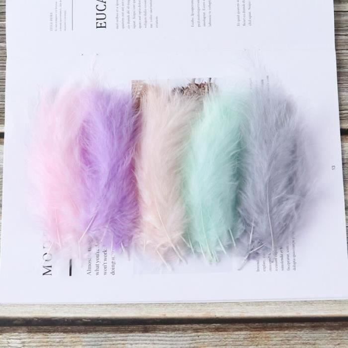 PLUME DE DECORATION Deep Color mixing -Belles Plumes naturelles 4 6 ...