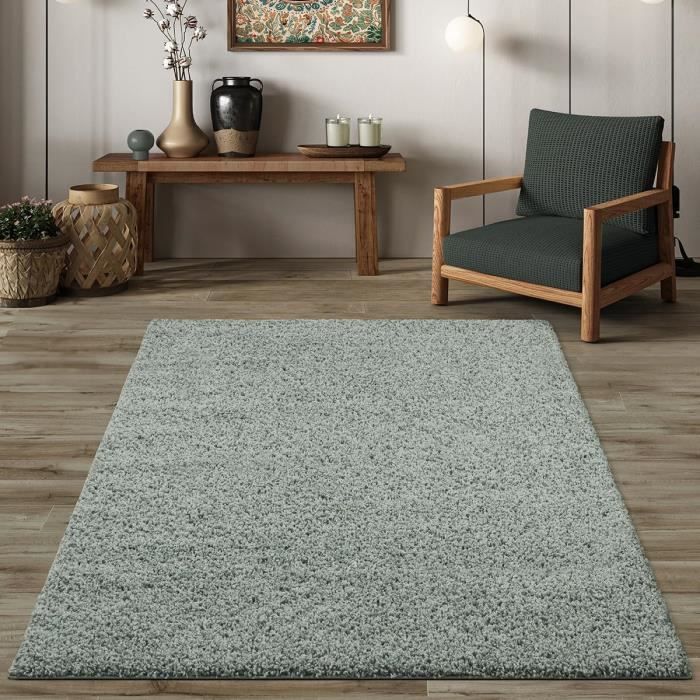 Port Shaggy Tapis Moderne À Poils Longs, Doux, Couleur Unie, Vert, Dimensions : 160 X 230 Cm ...