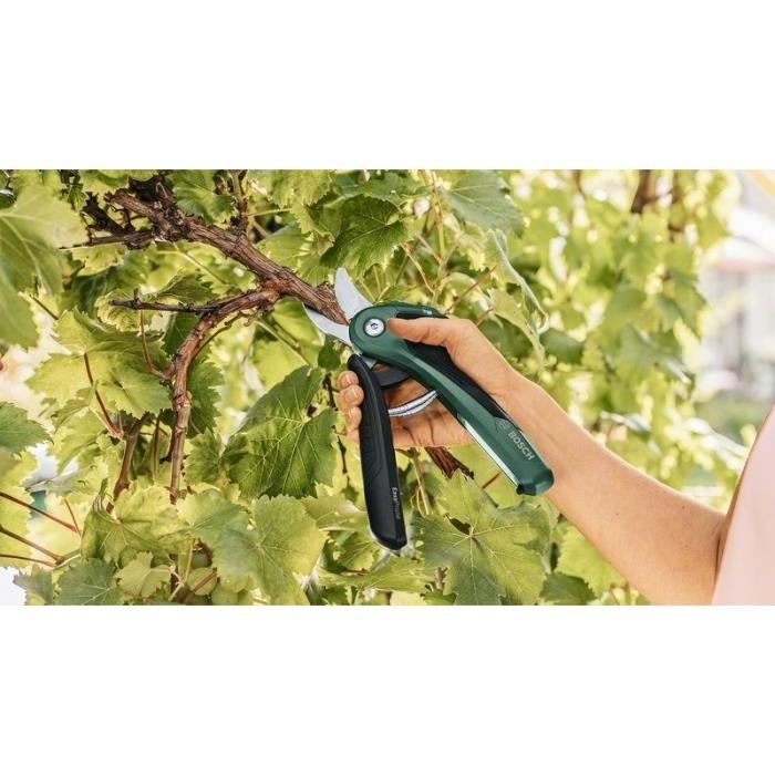 Sécateur électrique sans fil Bosch - EasyPrune (3,6 V, Capacité de ...