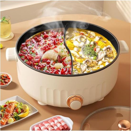 Appareil A Fondue, Multi-Fonctions Fondue Chinoise Hot Pot Idéal Pour ...