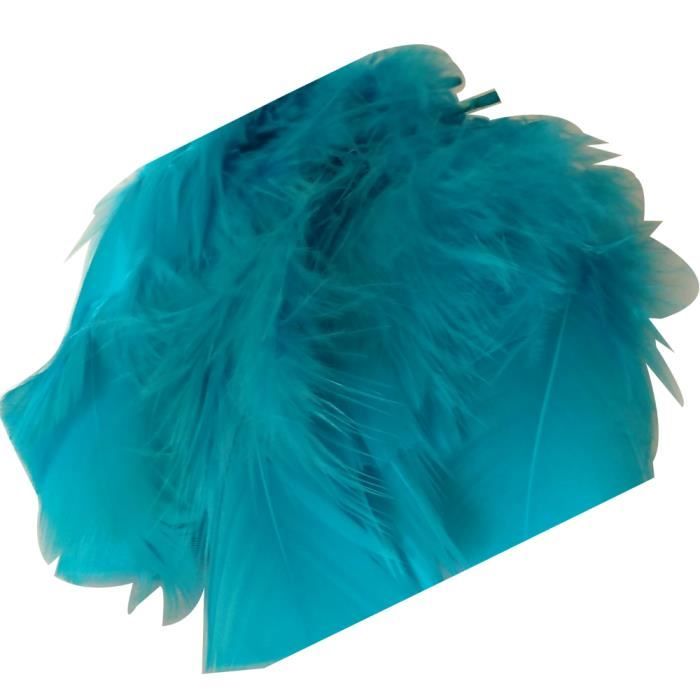 Plumes décoratives - Non spécifié - 10 cm - Lot de 50 - Coloris au ...