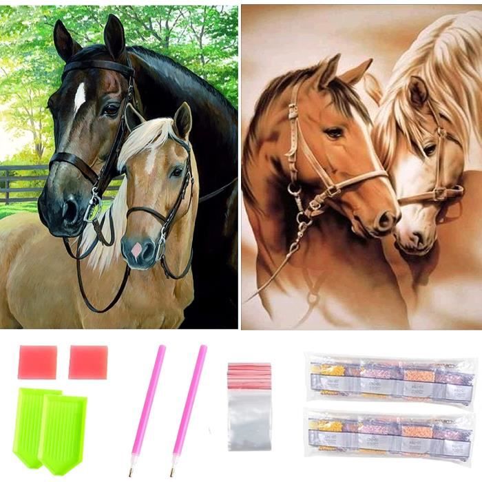 Lot de 2 tableaux de peinture au diamant - Cheval - Kit de peinture ...