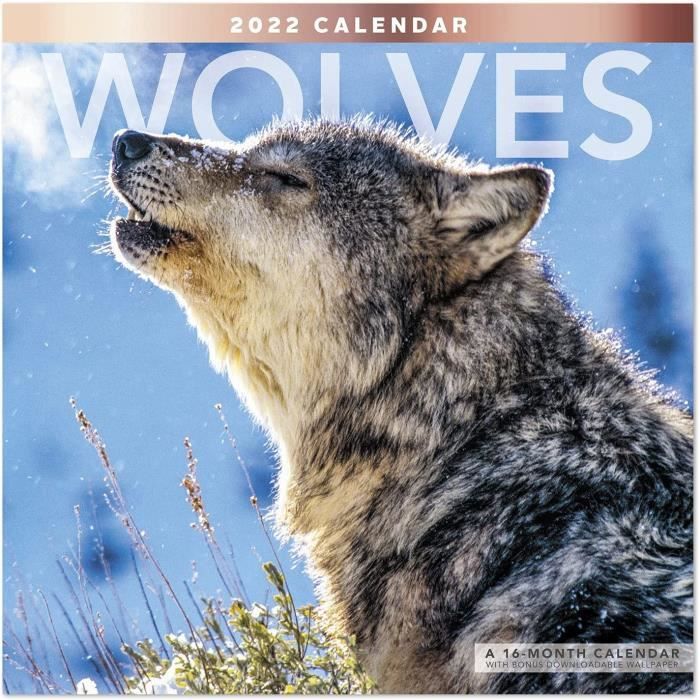 LME16810 mural 2022 Loups 30,5 x 30,5 cm mensuel [841] - Cdiscount Beaux-Arts et Loisirs créatifs