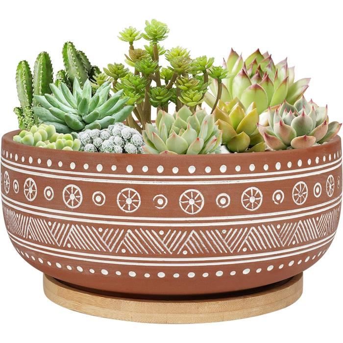 Thirtypot Pot de fleurs en terre cuite de 20 cm avec trou de ainage et ...