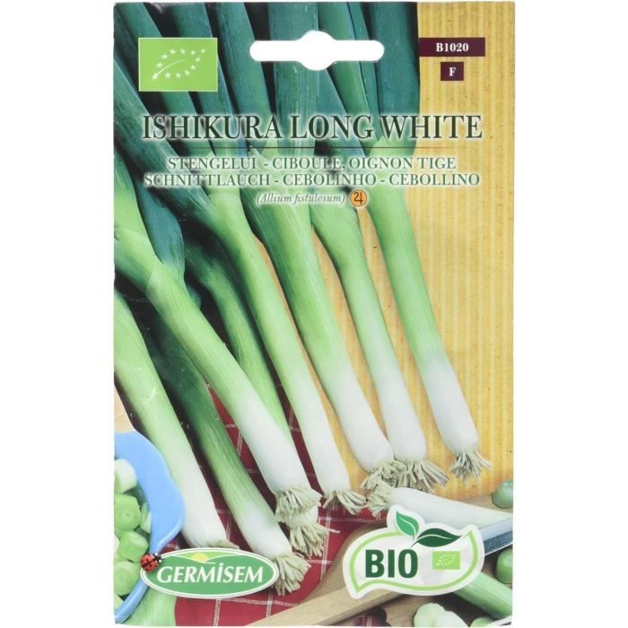 Germisem Bio Graines Ciboule, Oignon Tige Ishikura Long White[w1503 ...