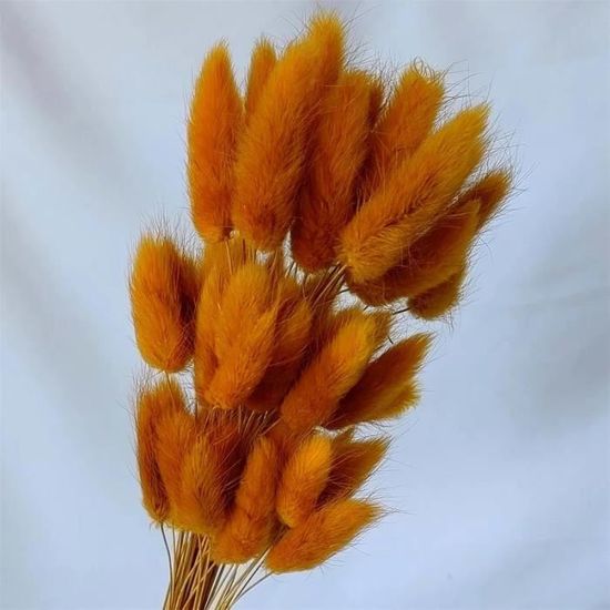 Fleurs Séchées,50 Pièces 45 Cm Queue De Lapin Séchée Herbe Boho Décor À La Maison, Herbe De ...