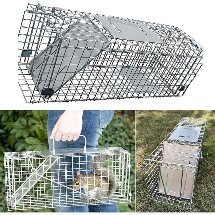 Cage Piège, Piège À Animaux, Piège À Martre, Piège À Renard, 61x19x21 ...